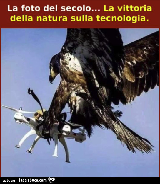 Tutti i meme su Aquila - Facciabuco.com
