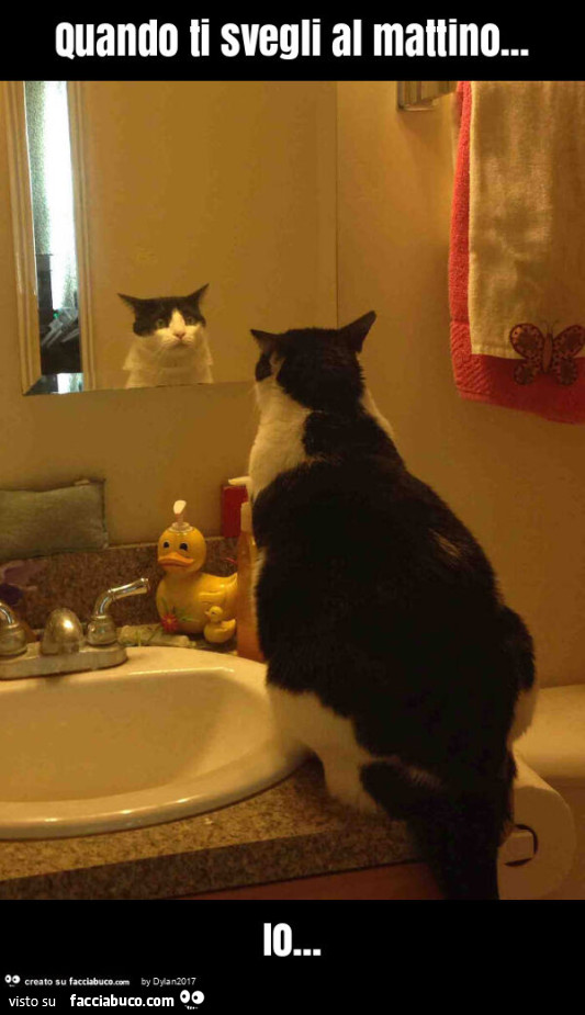 Quando ti svegli al mattino… io - Facciabuco.com