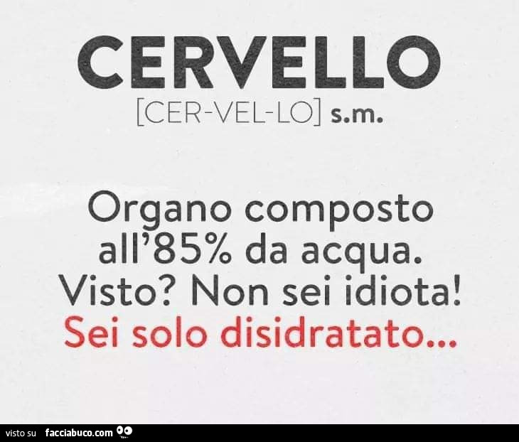 Tutti i meme sul Cervello - Facciabuco.com