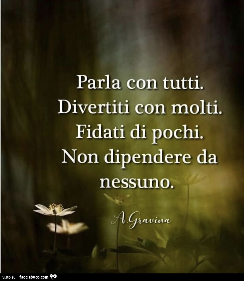 Perla di saggezza pubblicata da Lunetta12 - Facciabuco.com