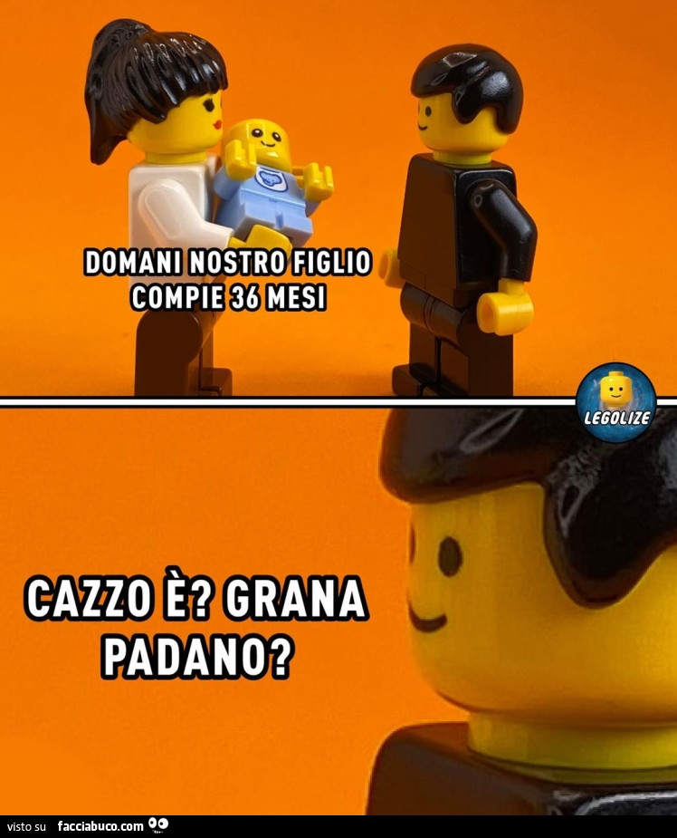 Tutti i meme su Parmigiano e Grana - Facciabuco.com