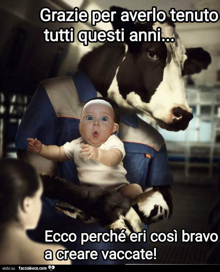 Tutti i meme sulle Mucche - Facciabuco.com