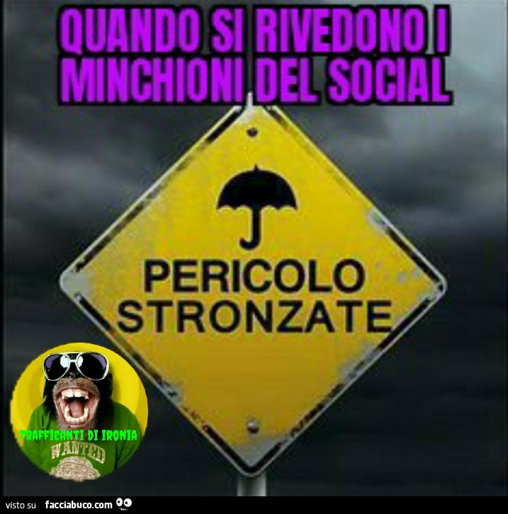 Tutti i meme su Testa di minchia - Facciabuco.com