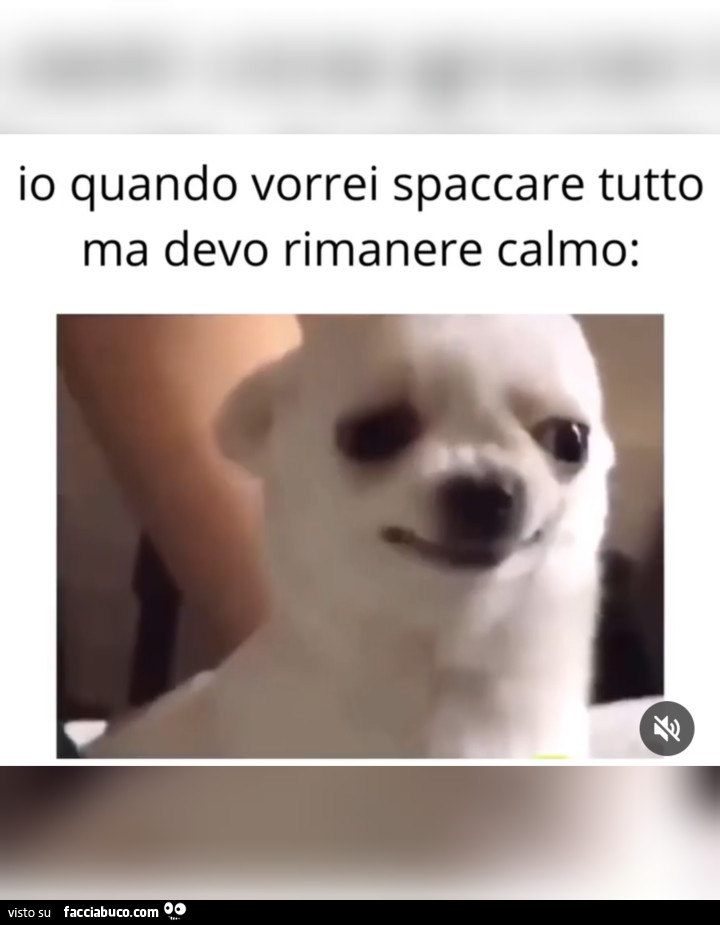 Tutti i meme su Rabbia - Facciabuco.com