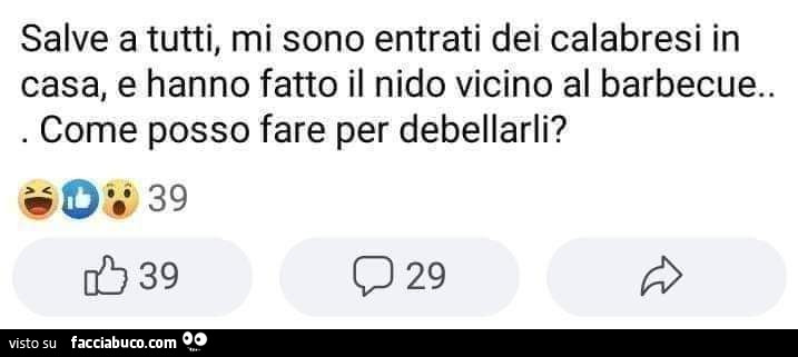 Tutti i meme sulla Calabria - Facciabuco.com