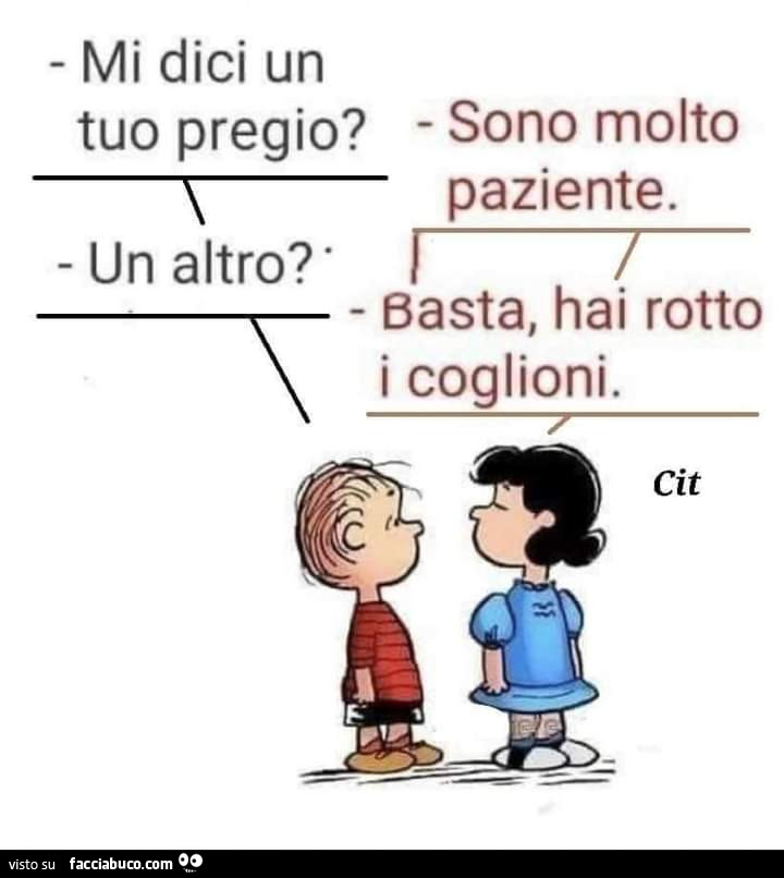 Mi dici un tuo pregio? Sono molto paziente. Un altro? Basta, hai rotto ...
