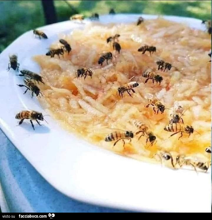 Un valido aiuto ?? per le ? api in difficoltà Per aiutare le api ...