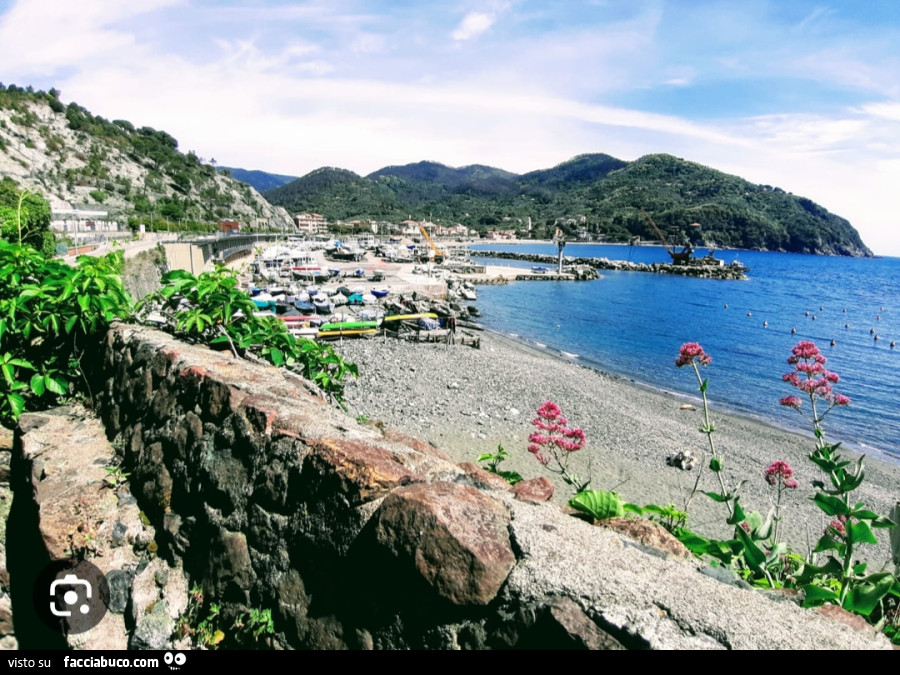 Tutti i meme su Liguria - Facciabuco.com