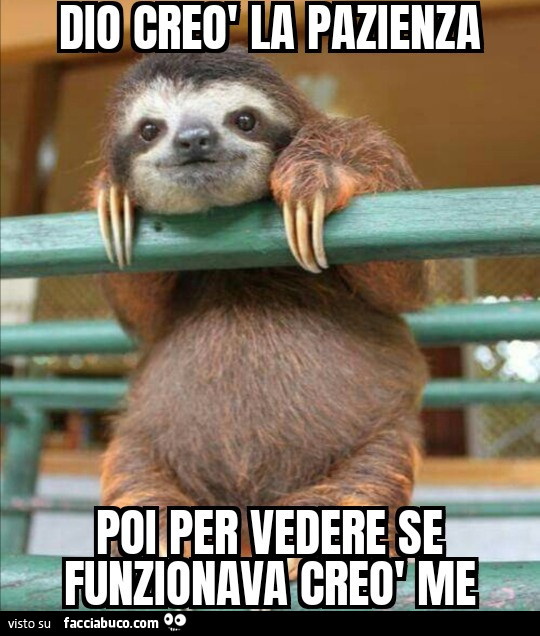 Tutti i meme su Pazienza - Facciabuco.com