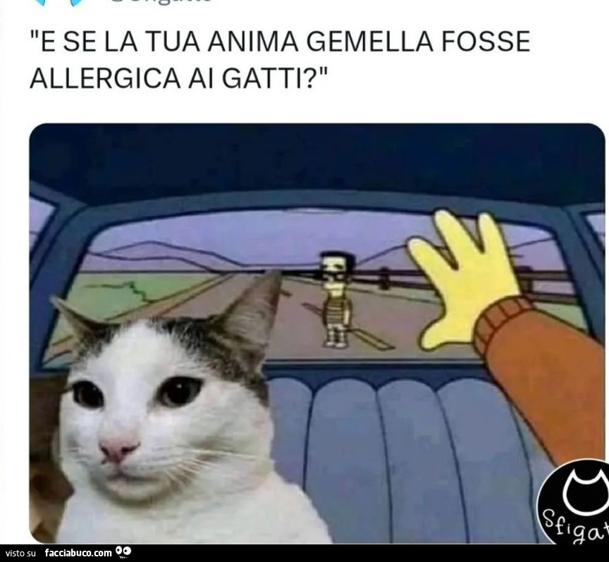 Byeeeeeeee?… vaccata pubblicata da Abusiva - Facciabuco.com