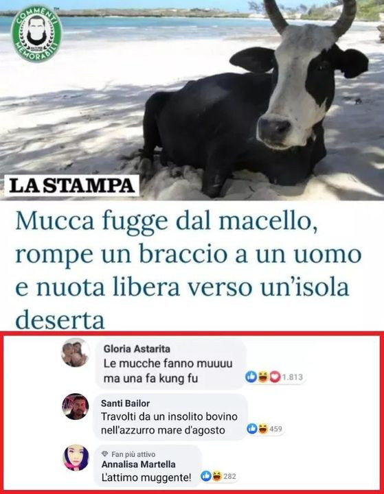 Tutti i meme su Fuga - Facciabuco.com