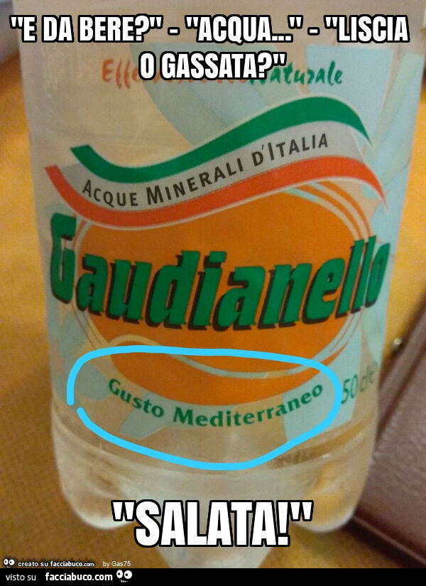 Tutti i meme su Chiara Ferragni - Facciabuco.com