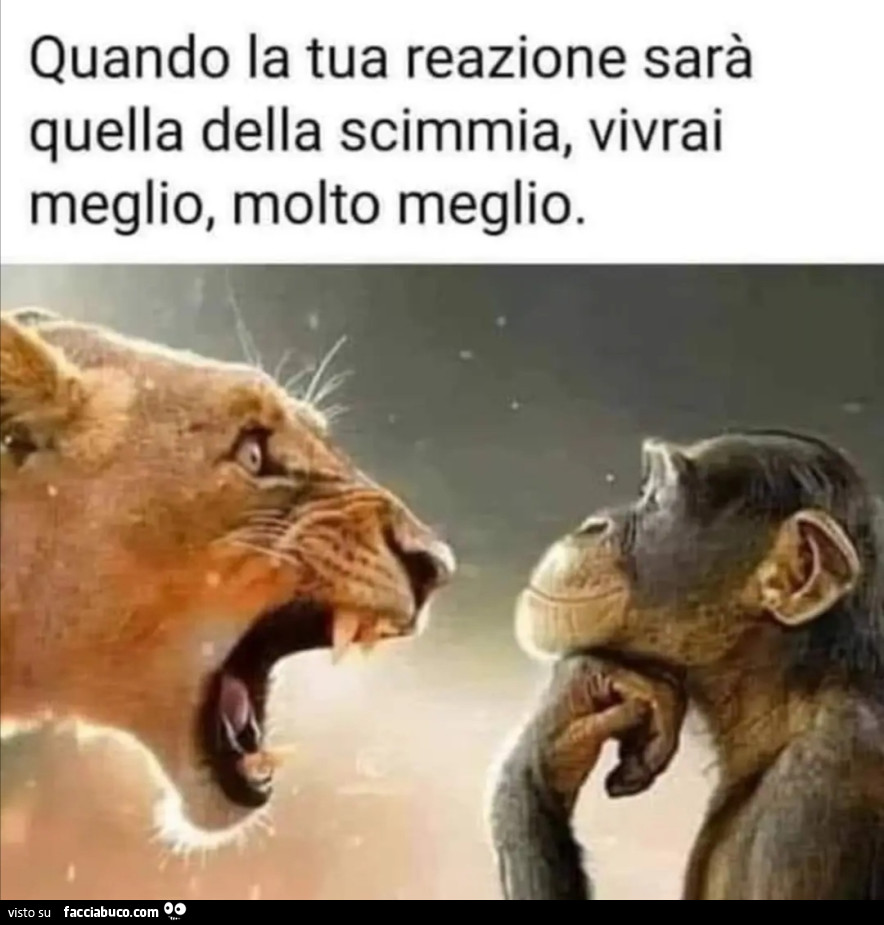 Tutti i meme sulle Scimmie - Facciabuco.com