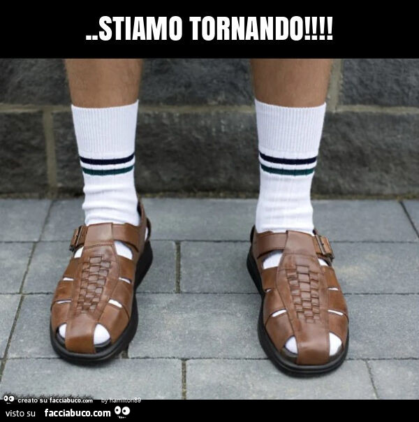 Tutti i meme su Sandali e Calzini - Facciabuco.com