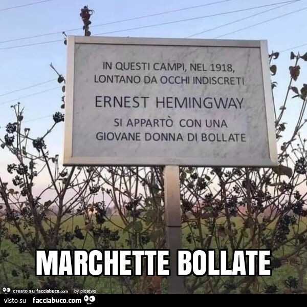 Marchette bollate - Facciabuco.com