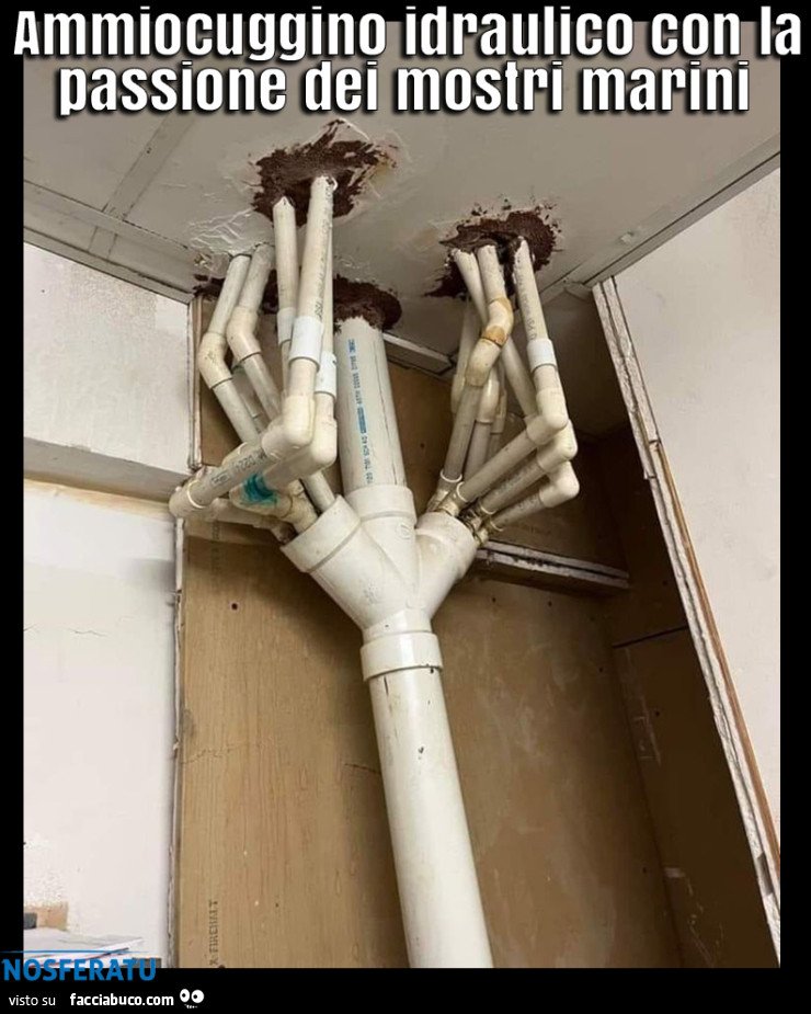 Tutti i meme su Mio cuggino - Facciabuco.com