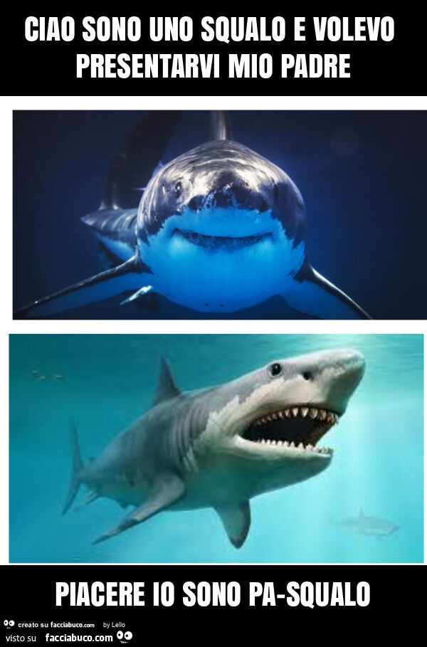 Tutti i meme sugli Squali - Facciabuco.com