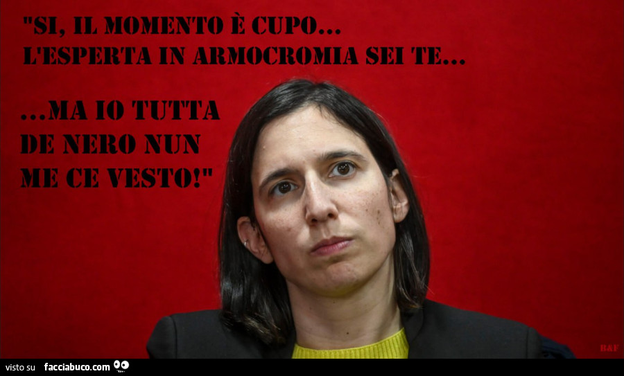 Tutti i meme su Elly Schlein - Facciabuco.com