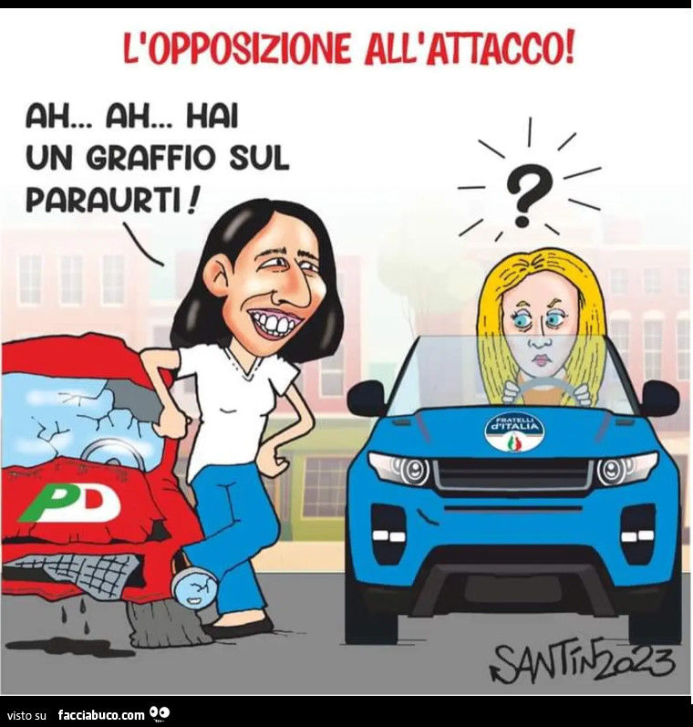 Tutti i meme su Elly Schlein - Facciabuco.com