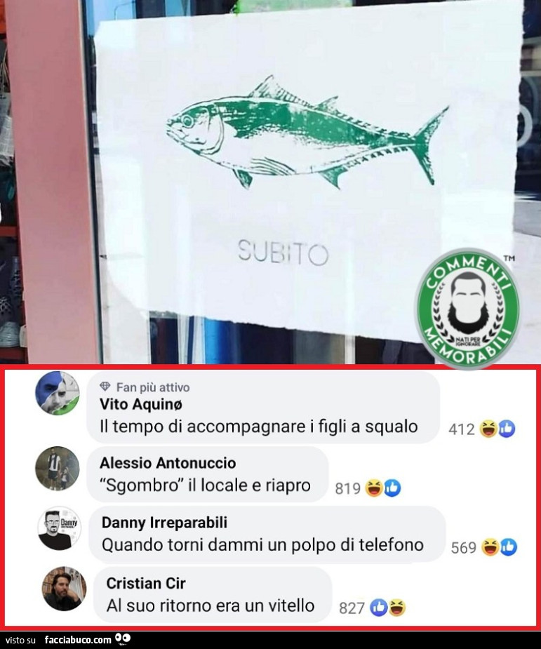 No vabbe'...… vaccata pubblicata da SuOldBoy - Facciabuco.com