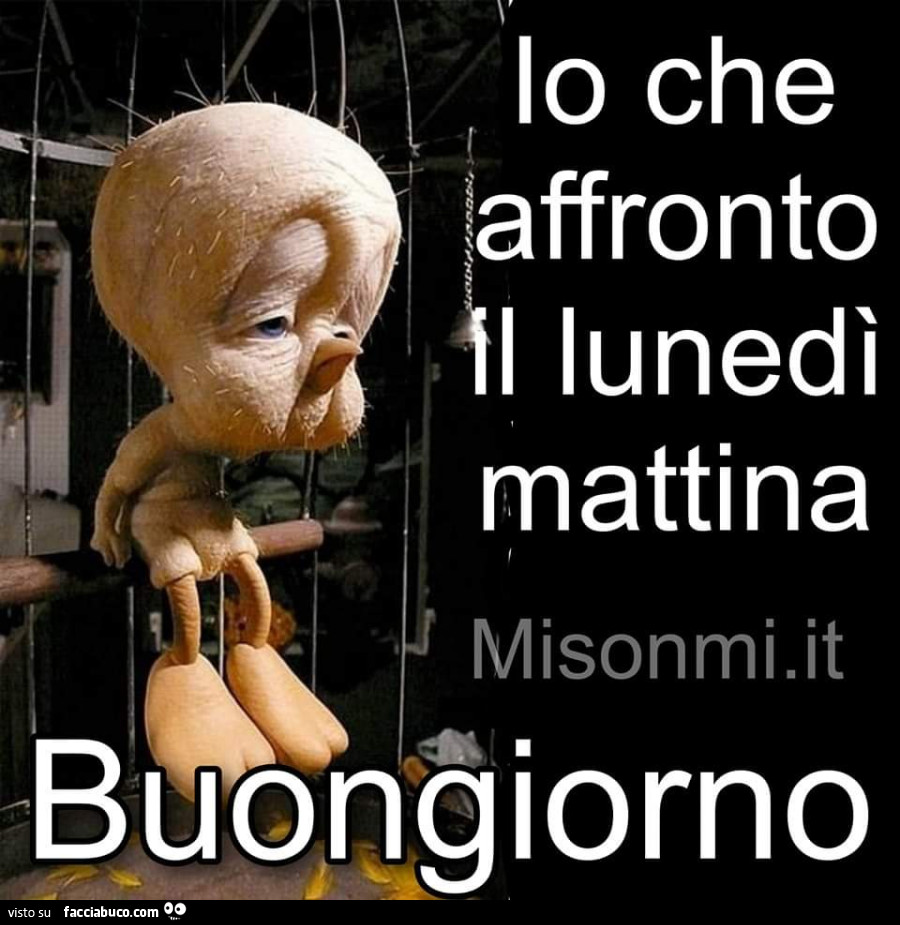 E con dei fine settimana di merda dell'ennesima estate di merda poi ...