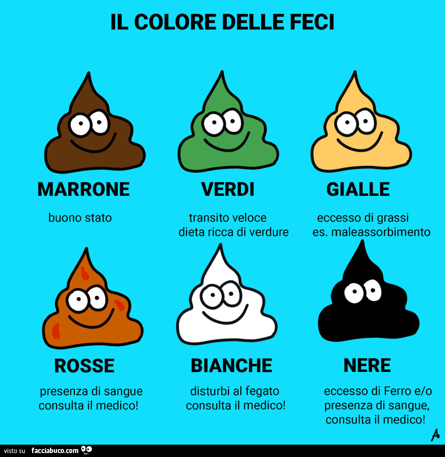 Il colore delle feci - Facciabuco.com