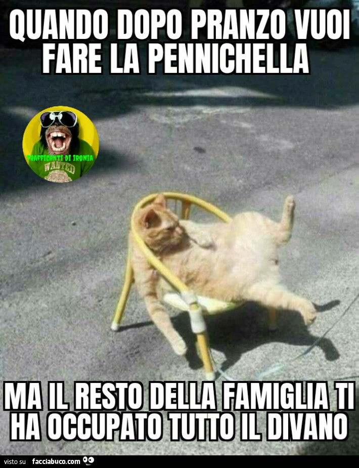 Tutti i meme sul Divano - Facciabuco.com