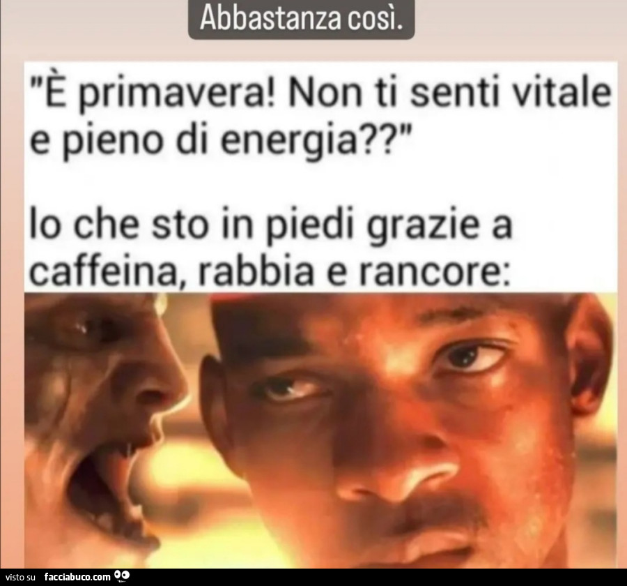 Tutti i meme su Rabbia - Facciabuco.com