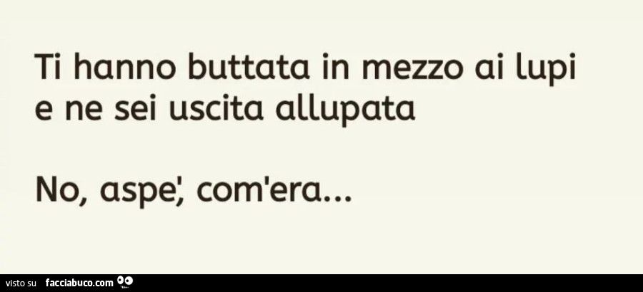 Tutti i meme sui Lupi - Facciabuco.com