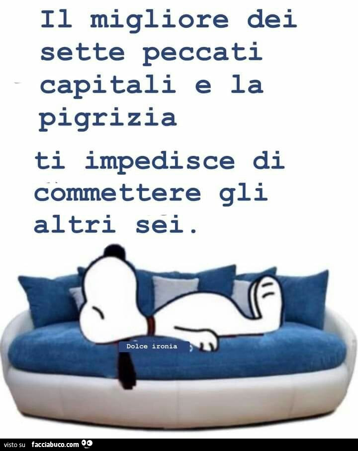 Perle di Saggezza - Facciabuco.com