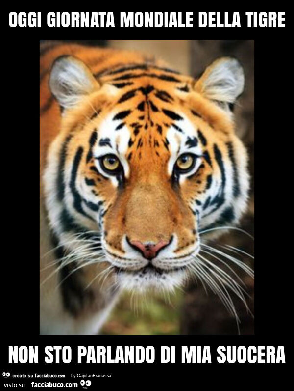 Tutti i meme sulle Tigri - Facciabuco.com