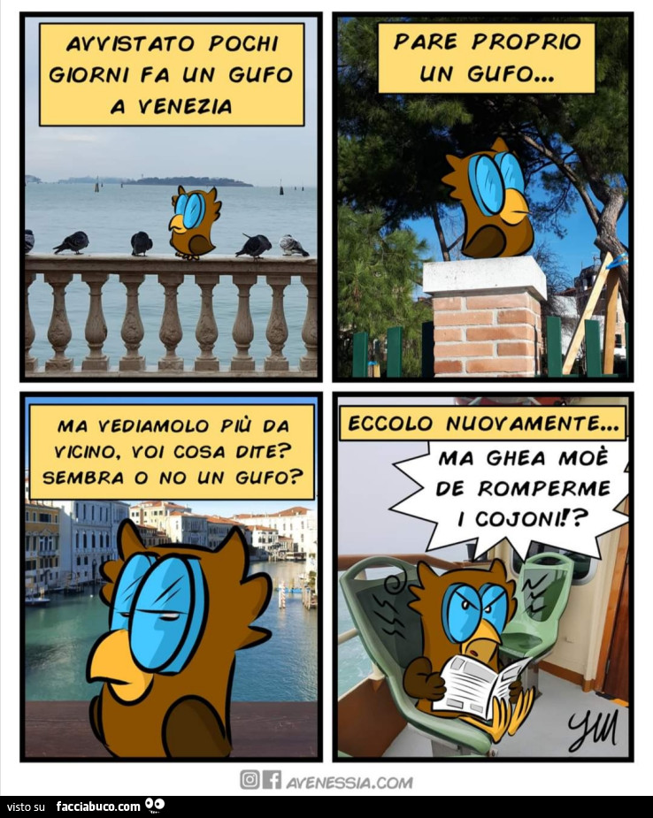 Tutti i meme su Gufo - Facciabuco.com