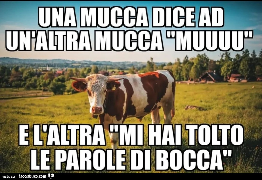 Tutti i meme sulle Mucche - Facciabuco.com